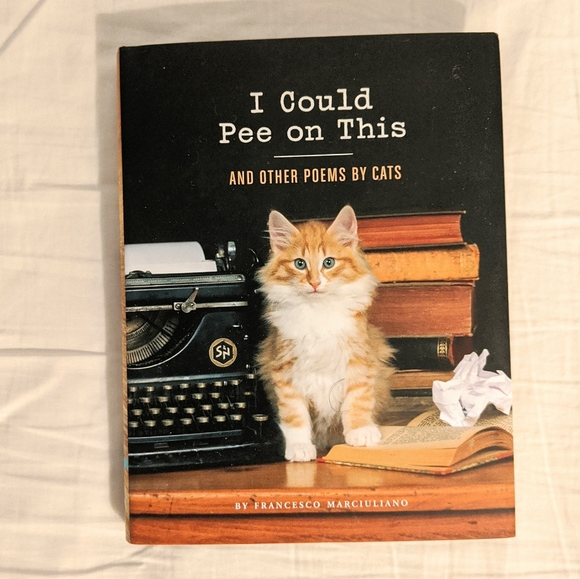 Other | New Funny Cat Book | Poshmark